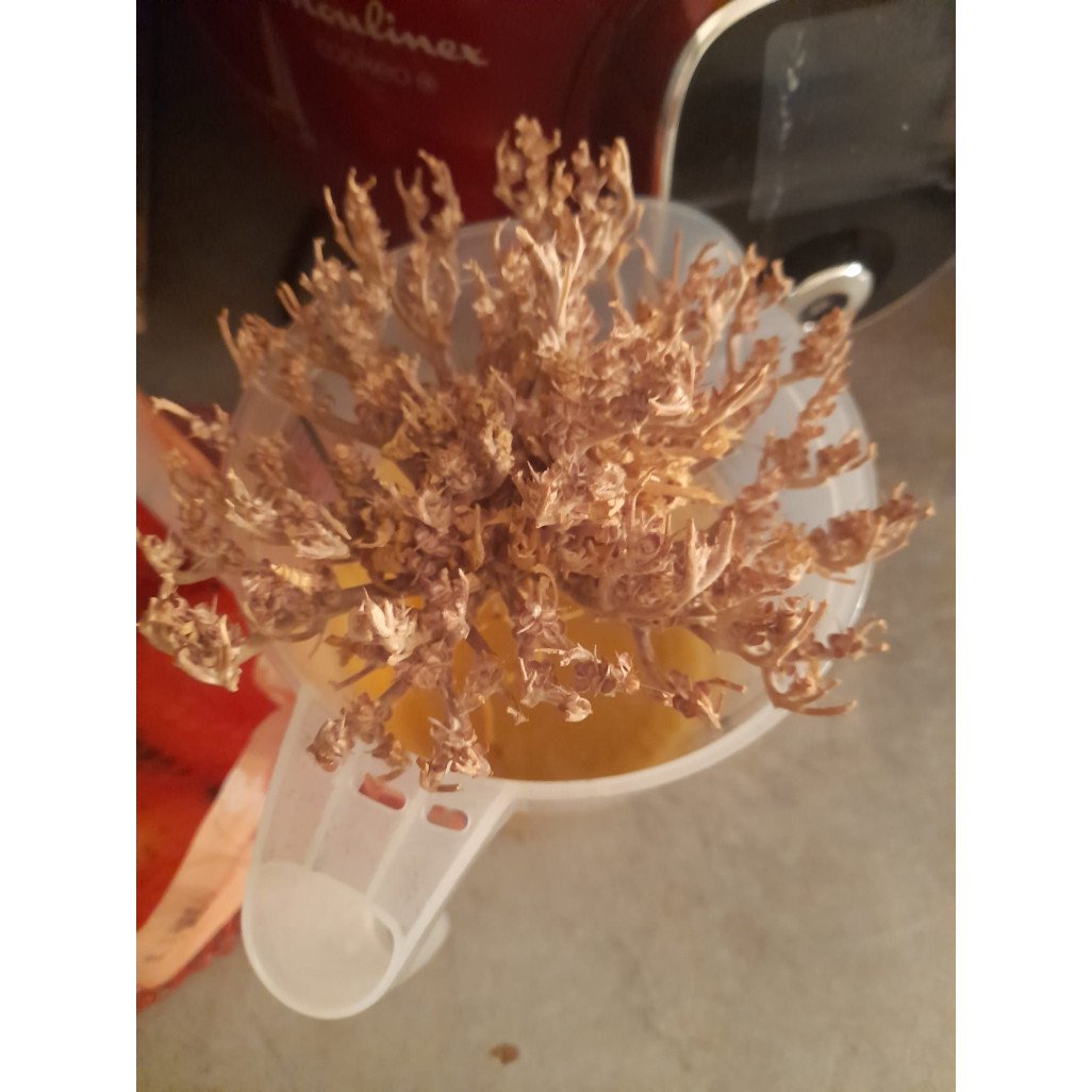 Chajarat Mariam / Rose de Jericho - Nigelle Source - 25g- Al Hidayah